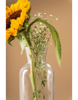 Buy Sunflower Clear Glass Vase - Stylish Vase | SG Home